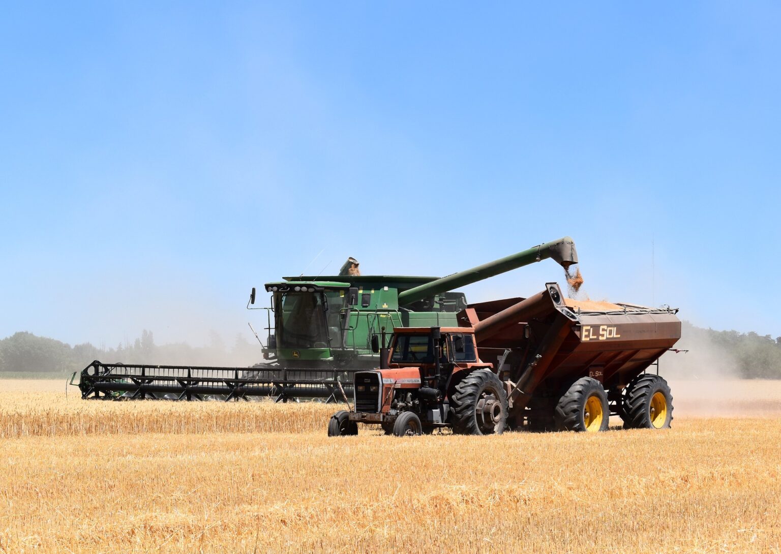 Harvest control - Control Union Sri Lanka