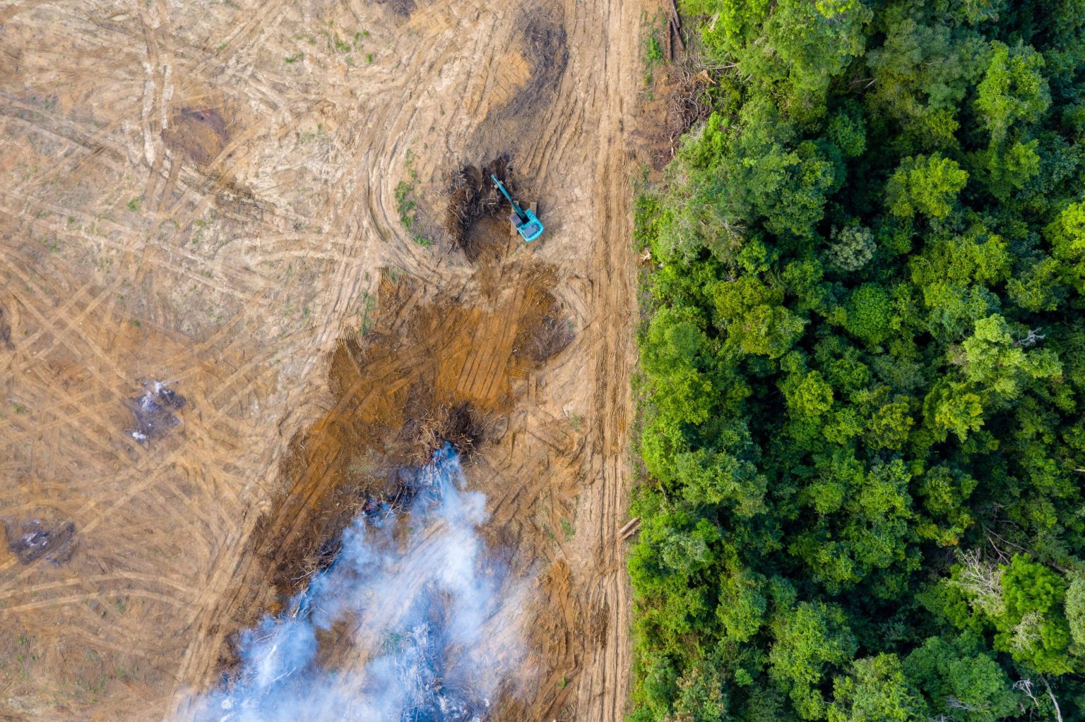 EU Deforestation Regulation (EUDR) - Control Union